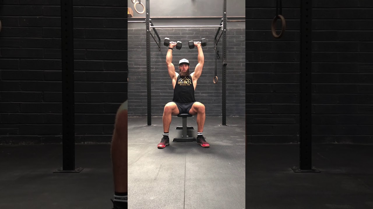 Seated Dumbbell Shoulder Press - Movement Demo - YouTube