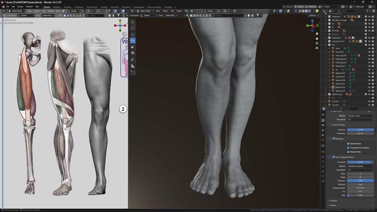 Studying Blender 3D: Anatomy #7 - YouTube