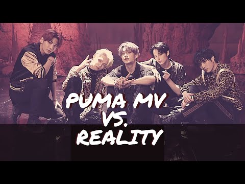 TXT: Puma vs. Reality
