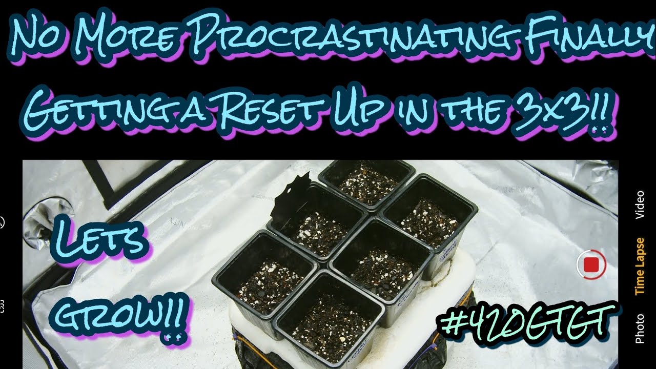 Germination & Planting Seeds with Success! Properly Dialed In this 3x3 ...