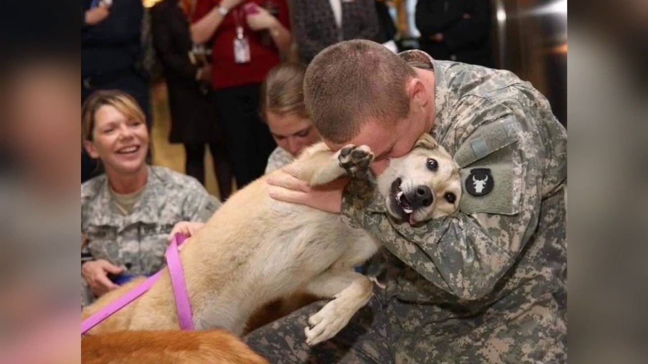 U.S Military sad song - YouTube