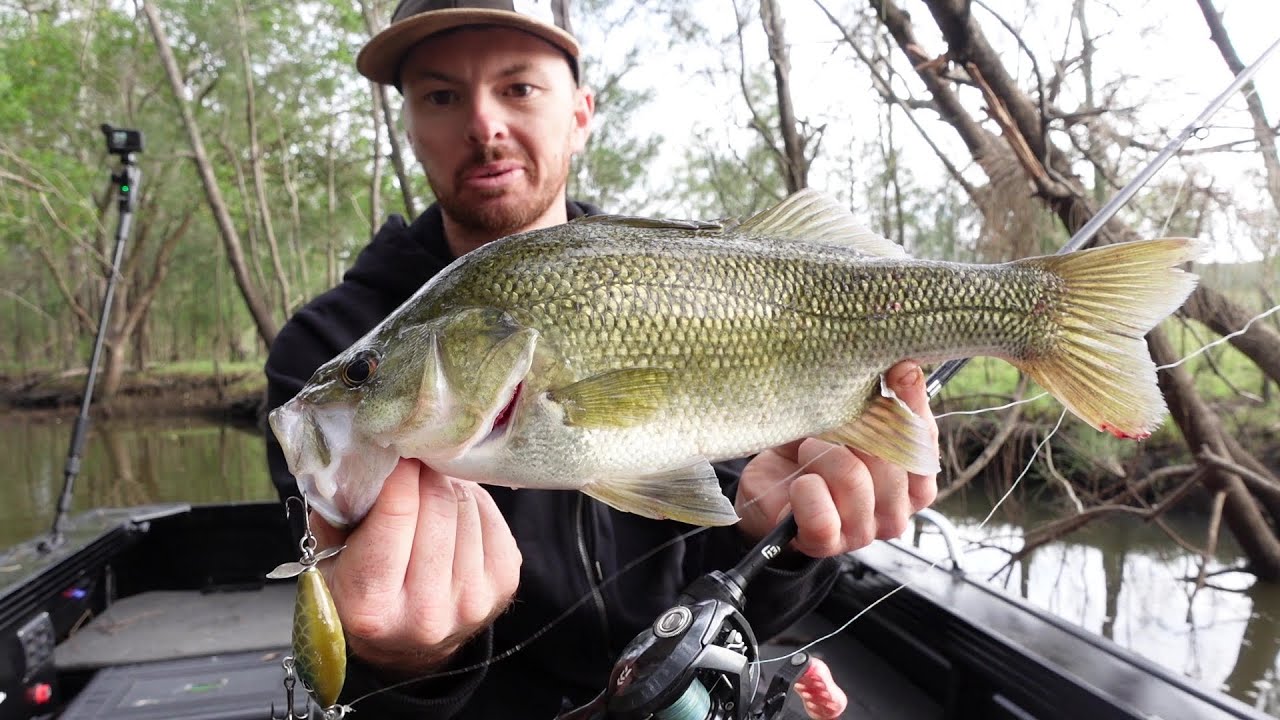 Jungle Bass on prototype surface lure. - YouTube