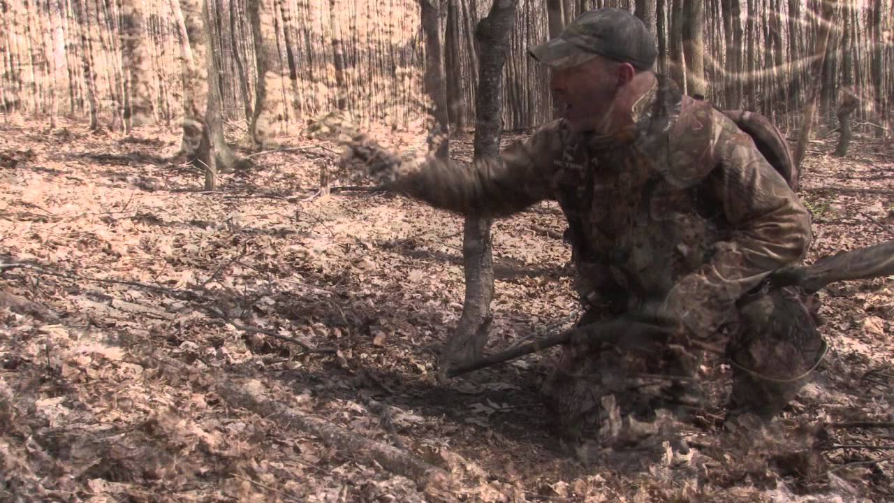 How To Read Turkey Scratching Sign In The Woods - YouTube