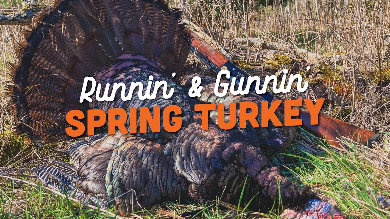 Runnin' and Gunnin' Public Land Turkey Hunting! Spring 2023 - YouTube