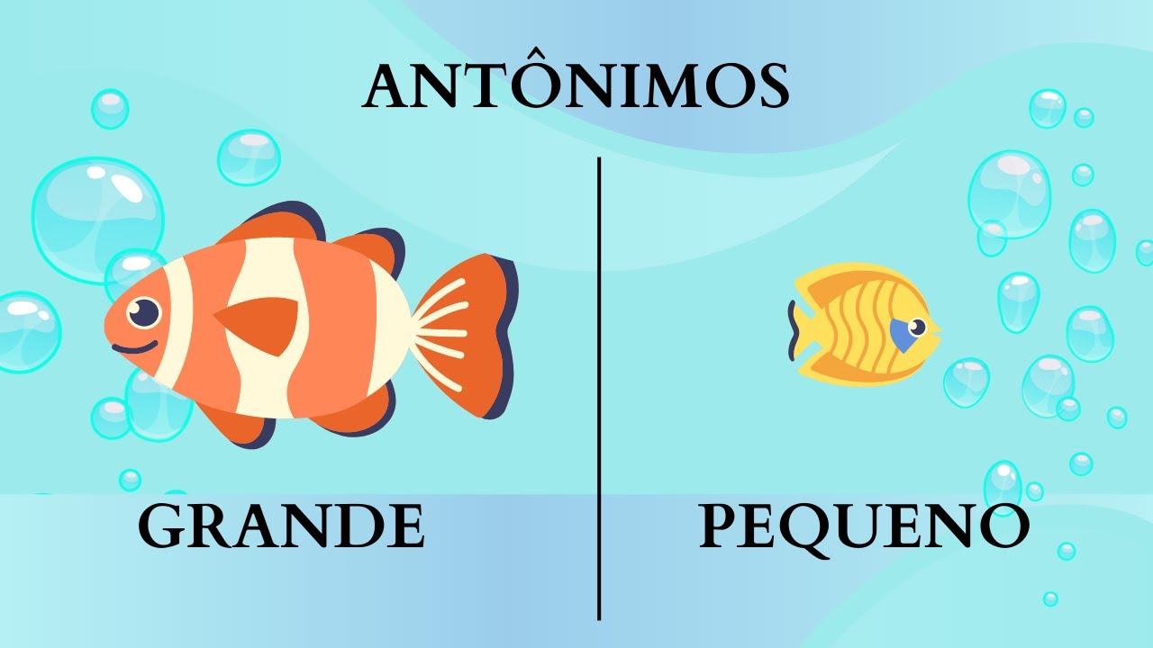 Palavras opostas | Antônimos | Educação infantil - YouTube