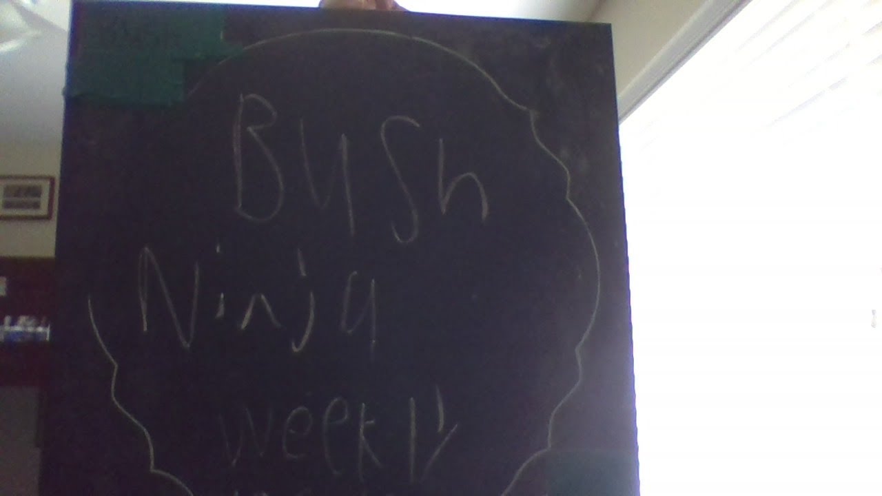 Bush Ninja Weekly News Interview - YouTube
