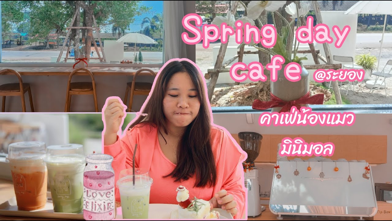 😽 Spring day cafe คาเฟ่น้องแมว สไตล์มินิมอล จ.ระยอง 🧋💕 @asskylydiary599 ...
