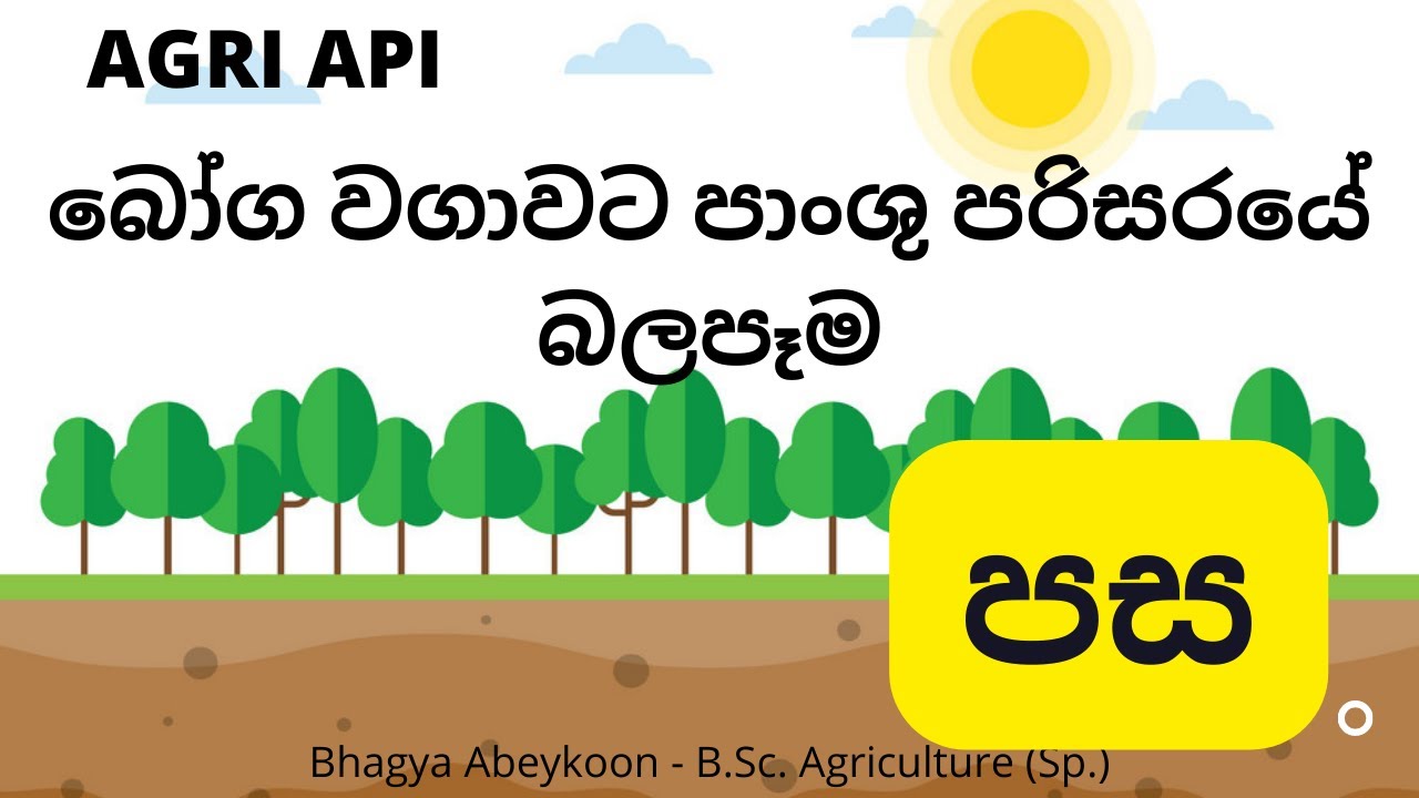 බෝග වගාවට පාංශු පරිසරයේ බලපෑම| පස | 12 ශ්‍රේණිය කෘෂි විද්‍යාව | Agri ...