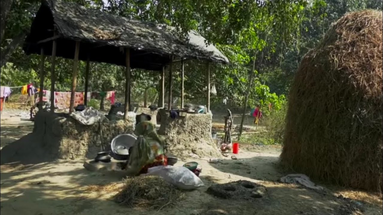 Bangladeshi rural village people daily life routine /simple Bangladeshi ...