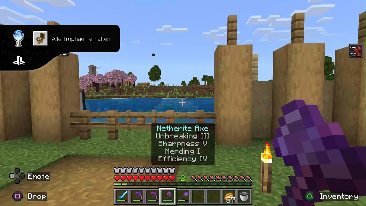 Minecraft PS4 Edition | Platin Trophäe - YouTube