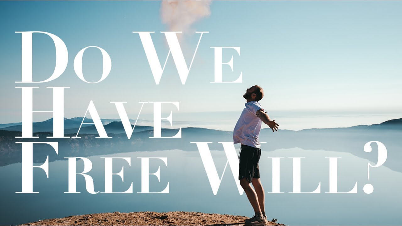 Q&A-09 Do We Have Free Will? - YouTube