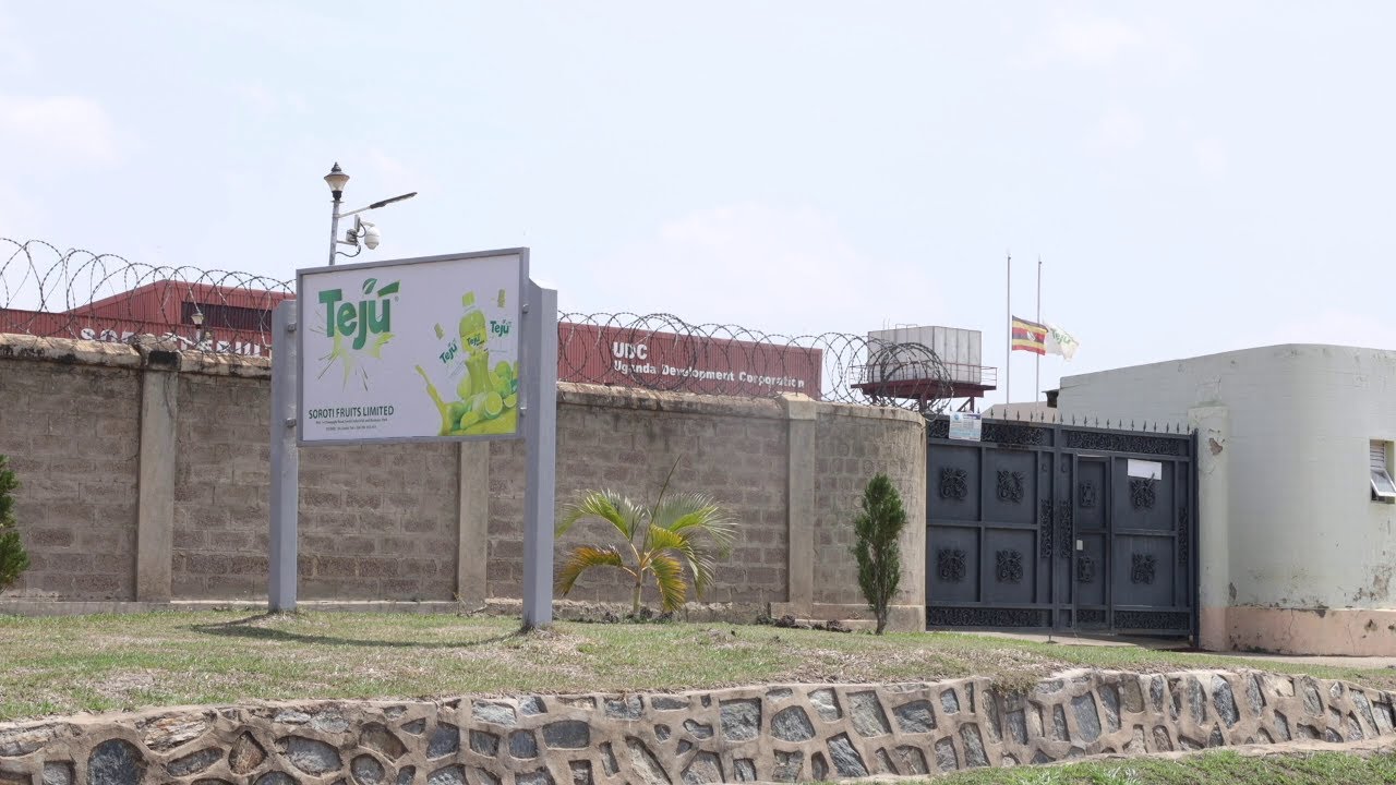 UDC Corporate Video Documentary 2022 - Soroti Fruit Factory - YouTube