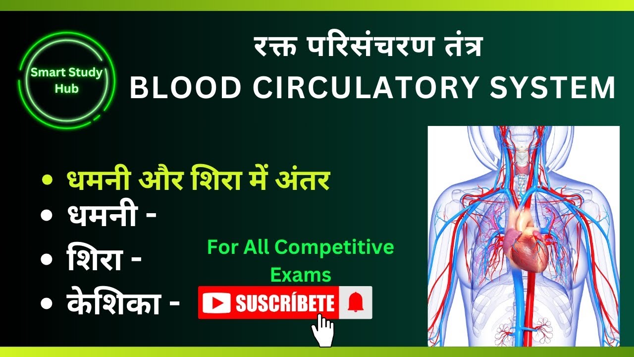 रक्त परिसंचरण तंत्र| blood circulation in human body| blood circulation ...