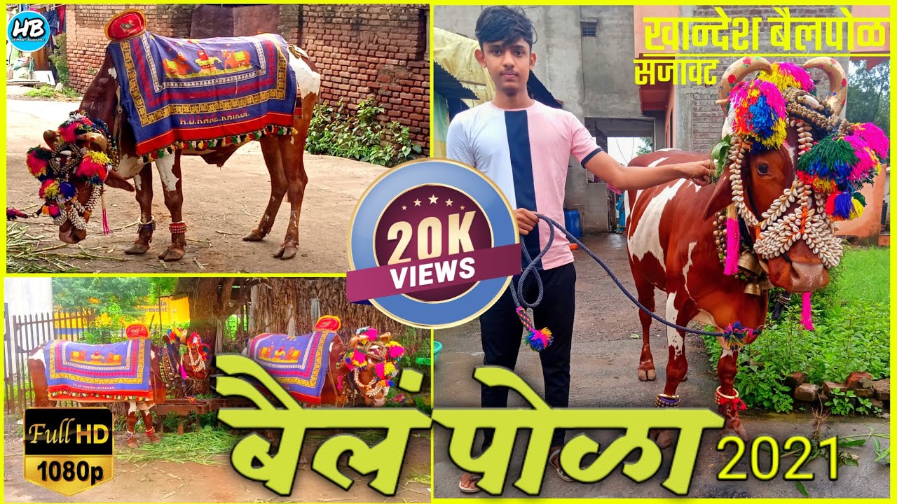 Bail pola best video 2022| cinematic video | राणे परिवार बैल पोळा ...