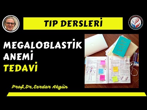 Hematoloji, Megaloblastik Anemi Tedavisi, , VadeMecum, Tıp Dersleri, Serdar Akgün