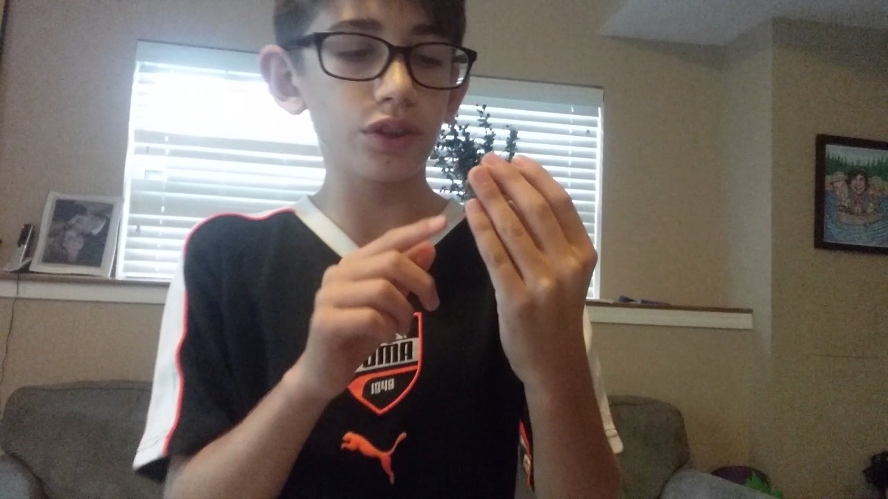 Micro chargers - YouTube