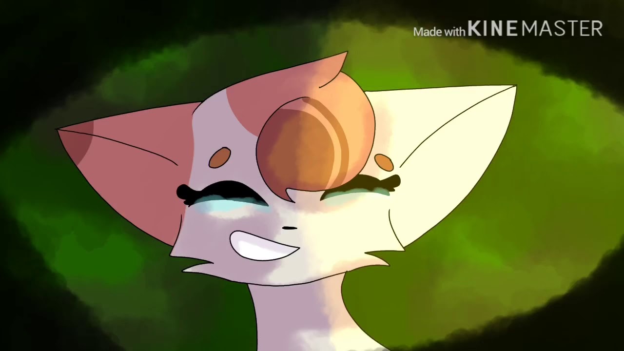 Everything stays|Berrynose and Toadstep AU PMV MAP|Warriors - YouTube