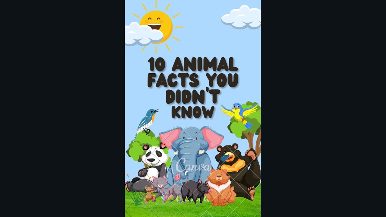 10 unique facts of animal that you didn't know - YouTube