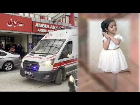 Gaziantep'teki pitbull saldırısı ile ilgili 3 kişi tutuklandı