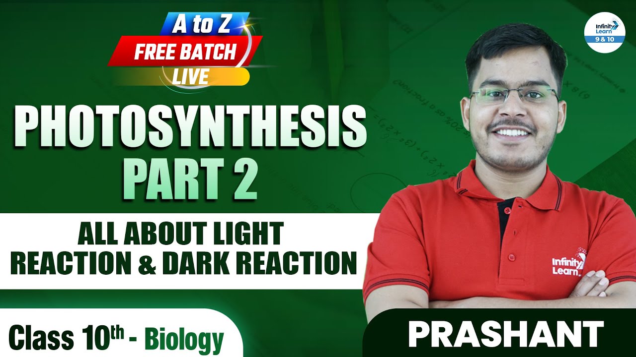 Photosynthesis Part 2 | All About Light Reaction & Dark Reaction ...