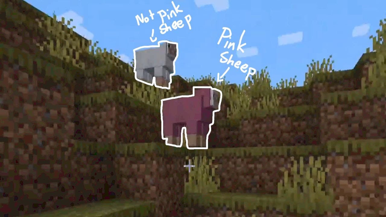 Minecraft Pink Sheep Speedrun - YouTube