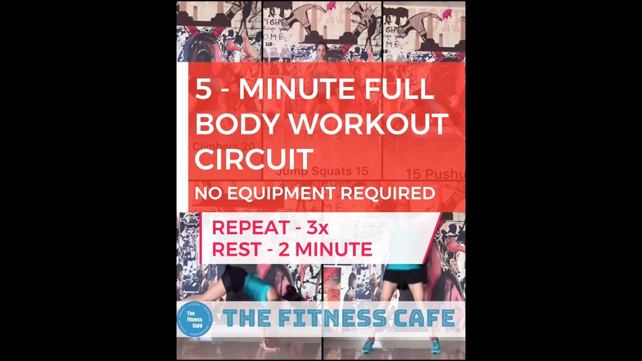 Full Body Home Workout Circuit - No Equipment required - YouTube