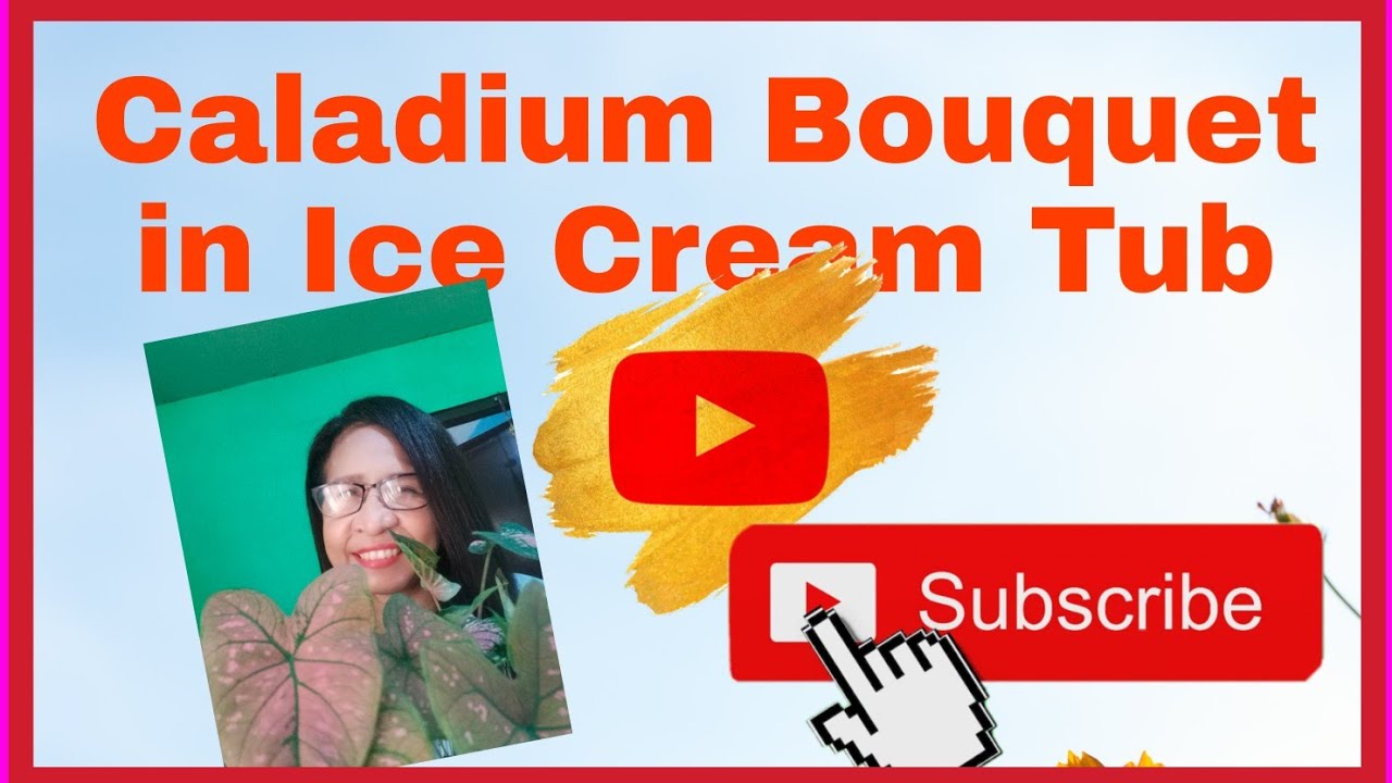 Caladium Bouquet in Empty Ice Cream Tub. #caladium ...