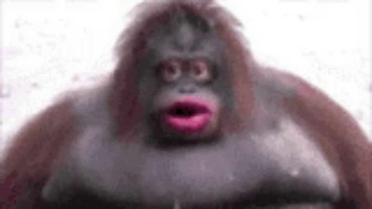 Gimkit halloween music - YouTube