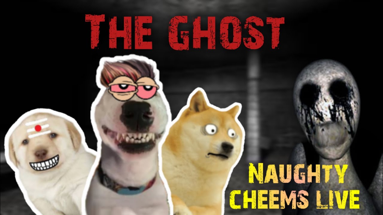 The Ghost Gameplay| naughty cheems live| horror multiplayer game play ...