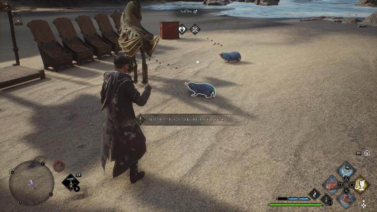 Epic Hogwarts Legacy Gameplay Fighting Ranrok Loyalist Over Rune - YouTube