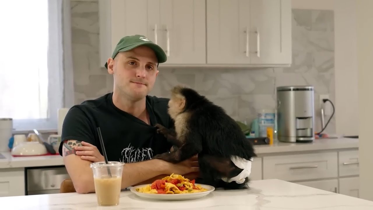 The Monkey Skit | The Yard Clips - YouTube