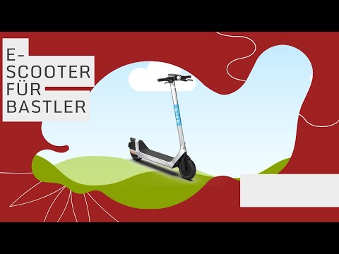 Bird 3 - Der perfekte Scooter für Bastler und wo man ihn her bekommt.