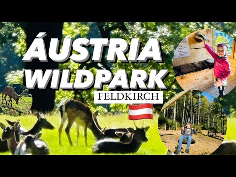 ÁUSTRIA: WILDPARK | PARQUE SELVAGEM DE FELDKIRCH. Parque gratuito em ...