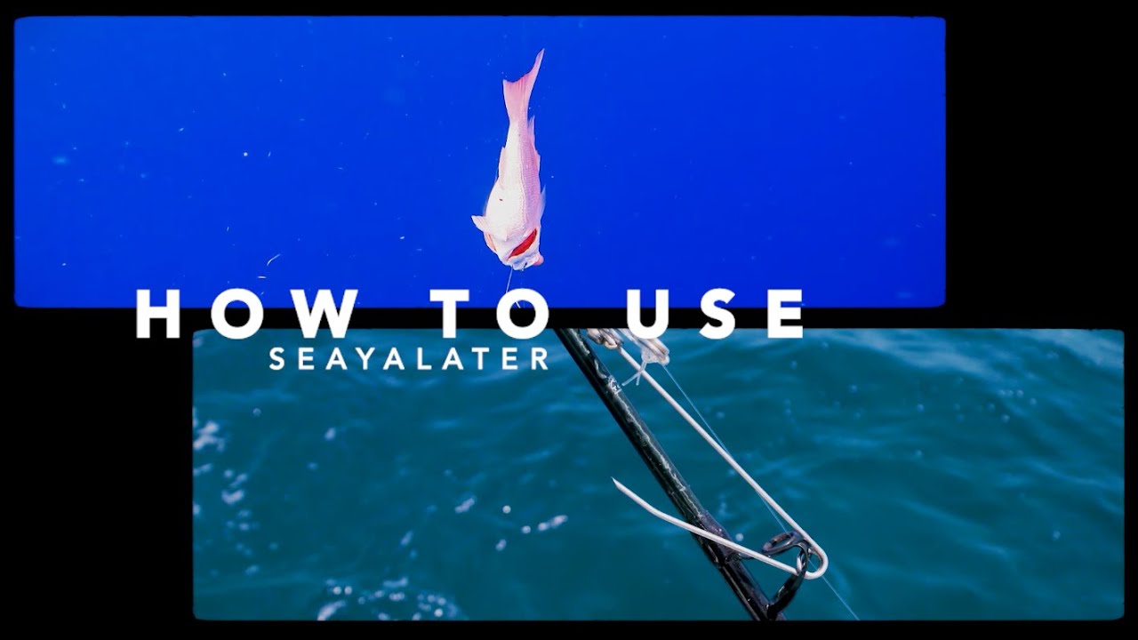 Return 'Em Right: How to Use a SeaYaLater Fish Descending Device - YouTube