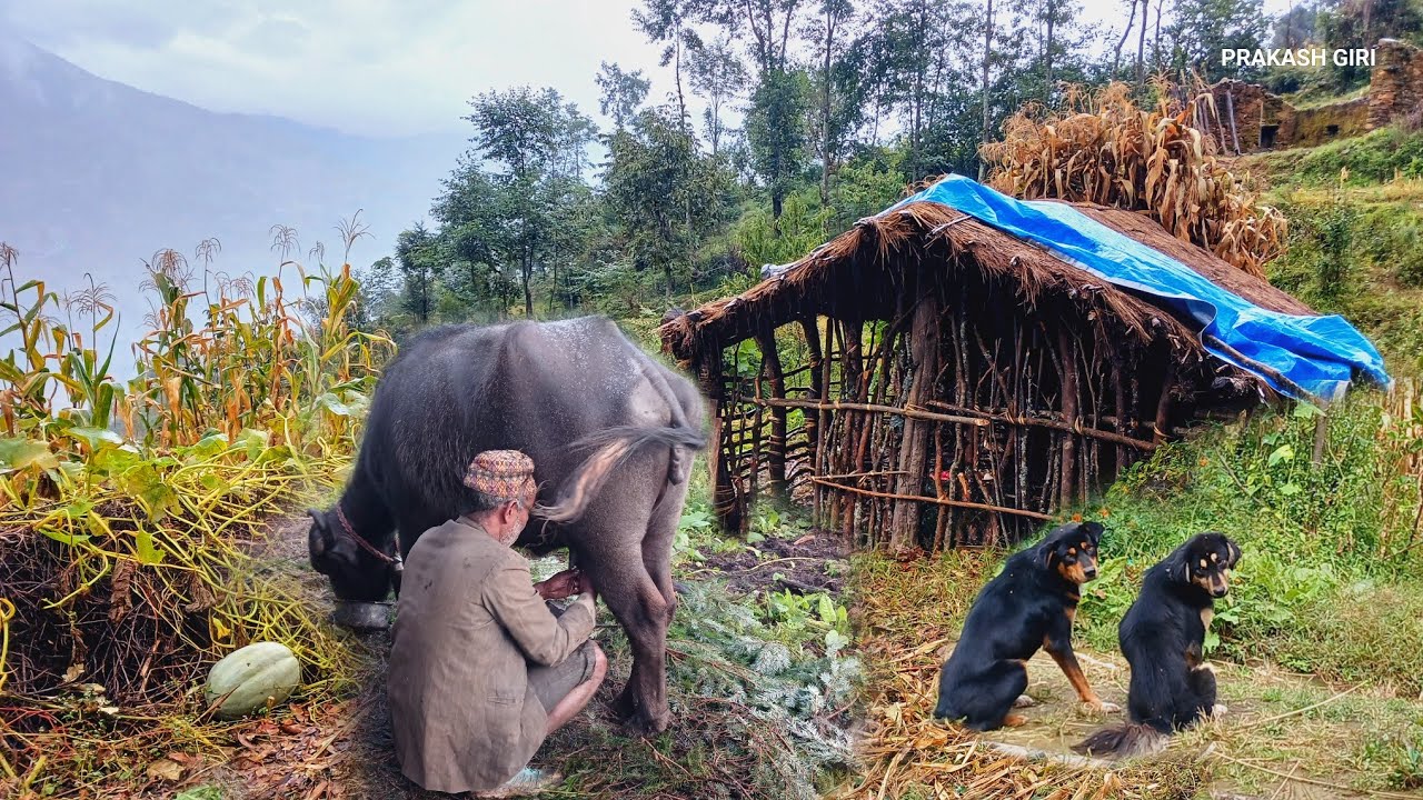 Most beautiful and peaceful himalayan mountain village lifestyle | Dely ...