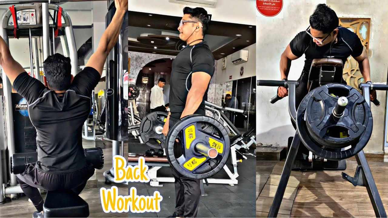 Day 88 of Fat to Fit || Back Workout || Daily Gym Workout Videos - YouTube