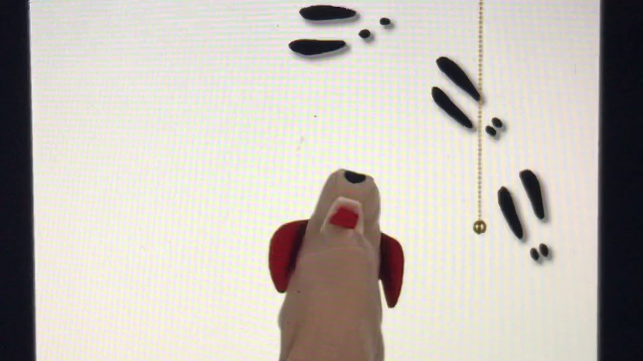 Baby Einstein neighborhood animals rabbit - YouTube