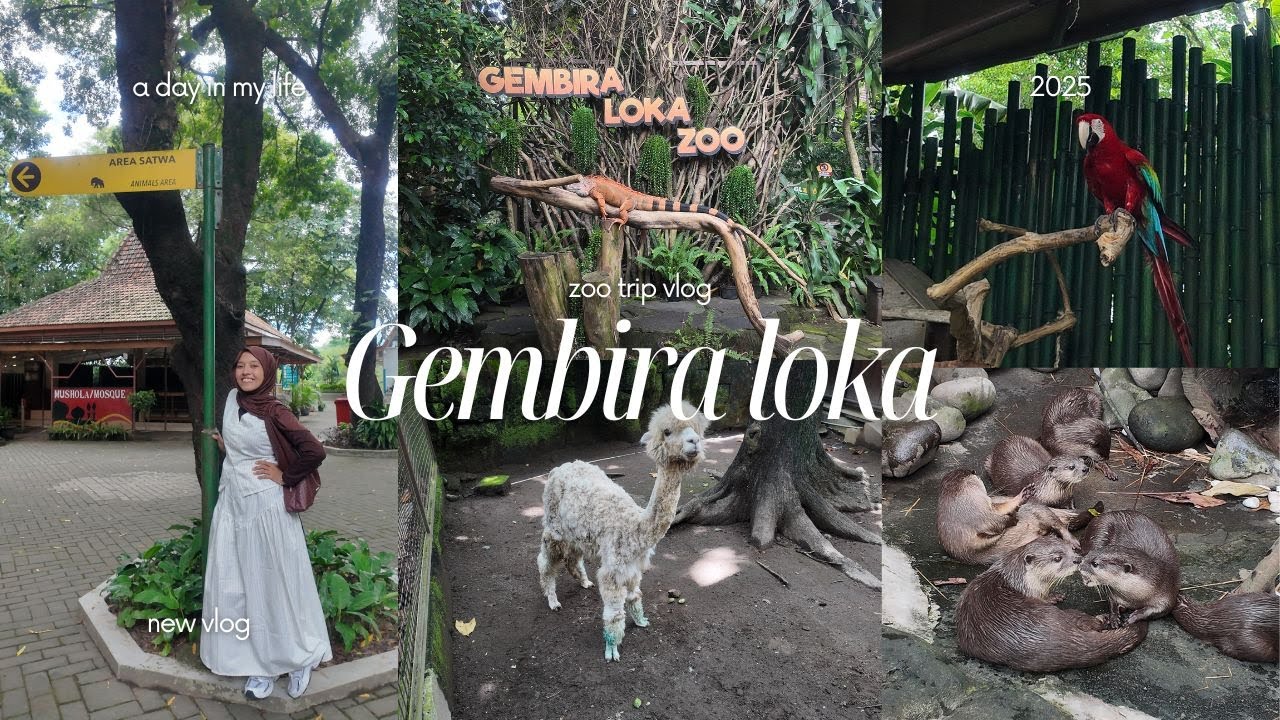 Seharian di Gembira Loka Jogja — Healing + Liat Hewan 🐢🦍🦣🦛 - YouTube