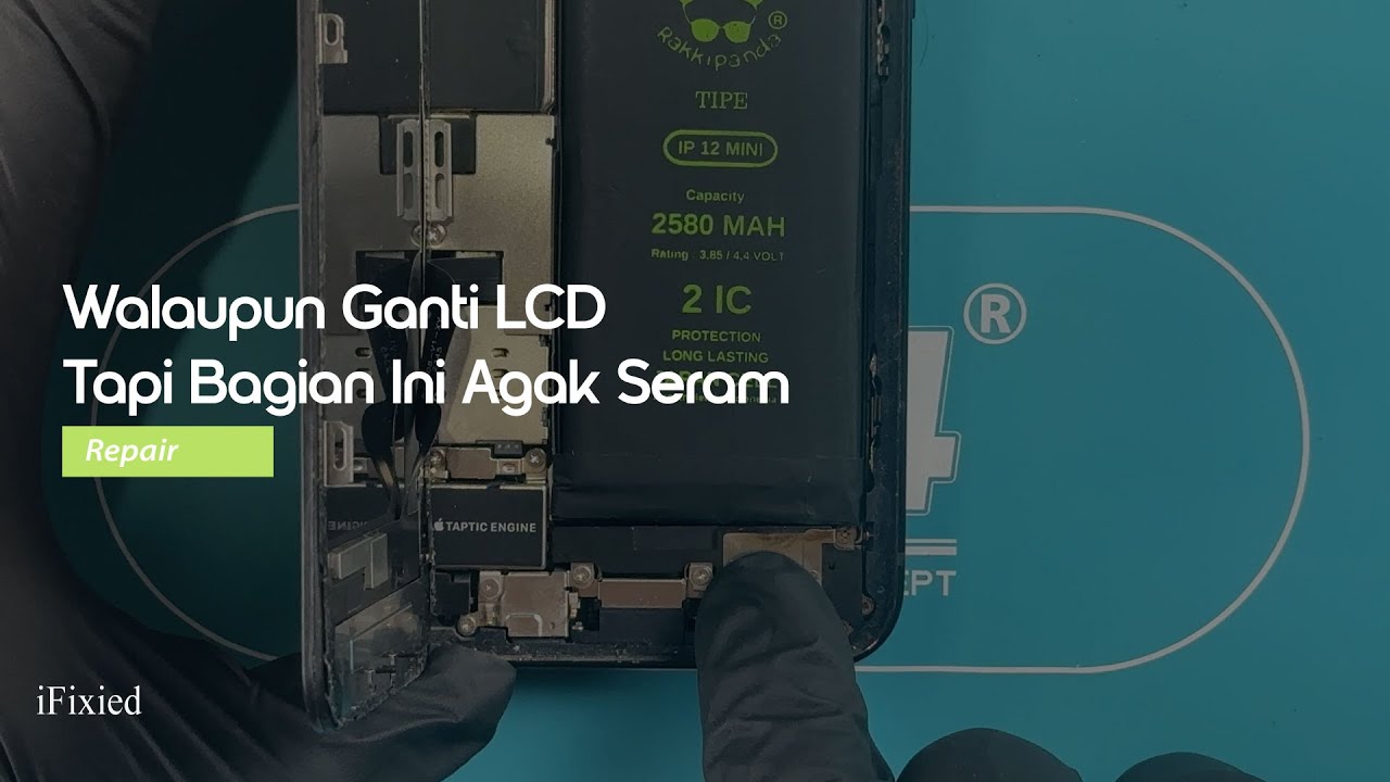 Perbaikan iPhone 12 Mini: LCD Blank Hitam, Kini Kembali Normal! - YouTube