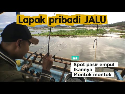 🔴MANCING setengah hari di lapak JALU‼️IKANNYA MONTOK MONTOK