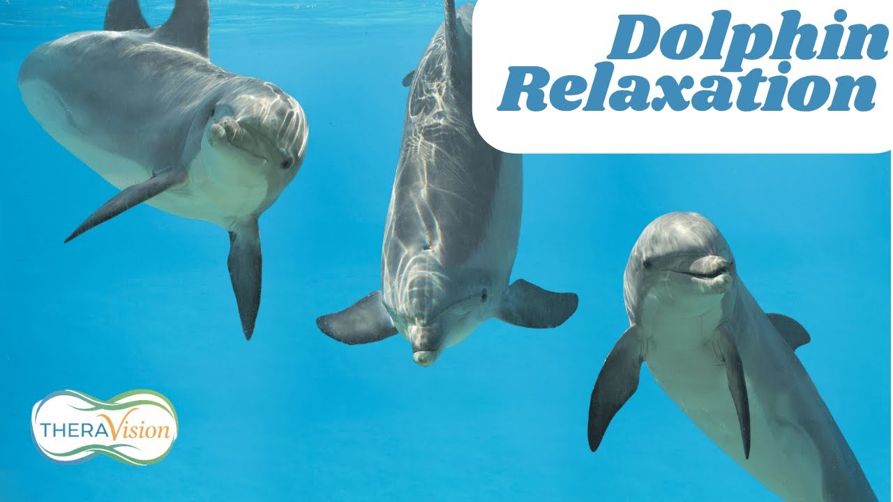 Dolphin Dreams 🐬 Underwater Relaxation 🌊 Calming Music for Sleep ...