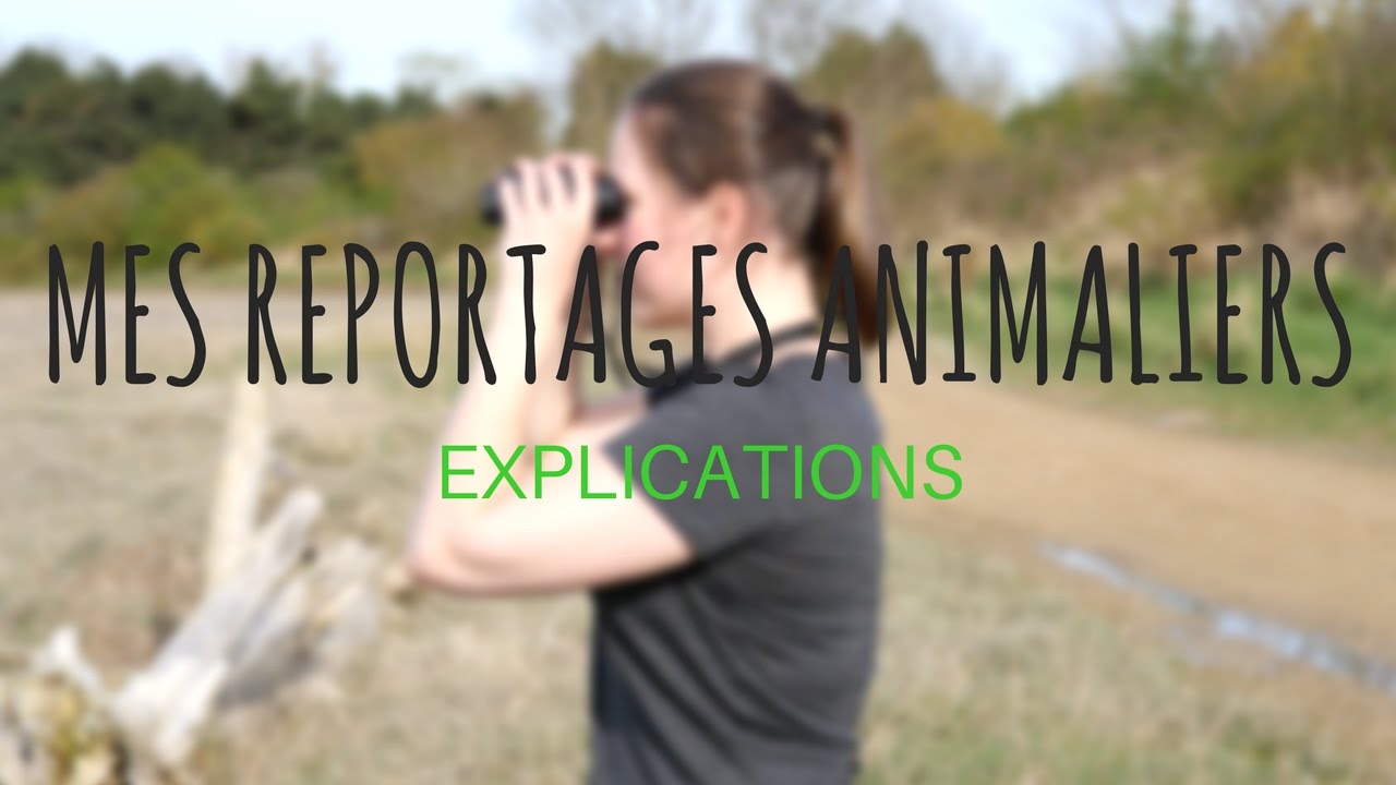 MES REPORTAGES/DOCUMENTAIRES ANIMALIERS - YouTube