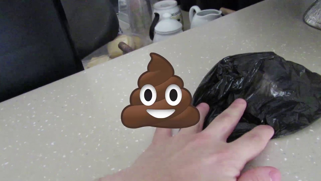 DIG Visual Media Essentials - FINAL CUT Video - Valencia College 2019 ...