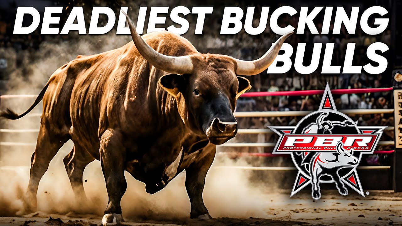 Top WRECKS Of The 3 Most Dangerous Bulls - YouTube