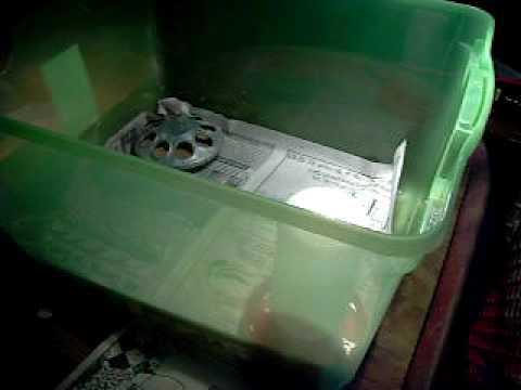 How to take care of Baby Chick (set up a brooder) - YouTube