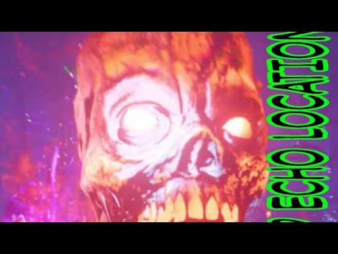 DEMENTED ECHO LOCATIONS CALL OF DUTY BLACK OPS COLD WAR OUTBREAK - YouTube