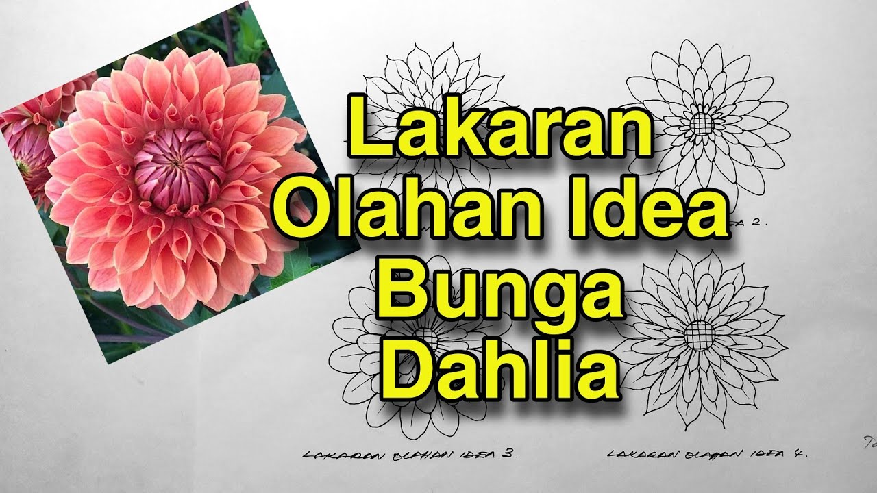 LAKARAN Olahan Idea Bunga Dahlia - YouTube