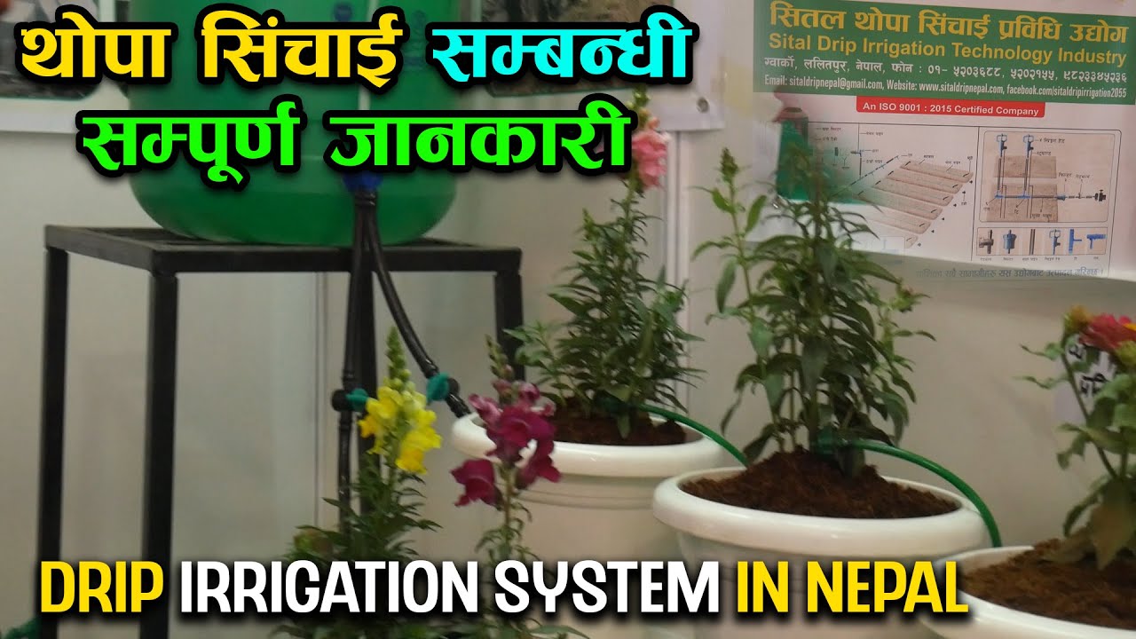 किन आवश्यक छ थोपा सिंचाई || Drip Irrigation || NEPAL AGRICULTURE ...