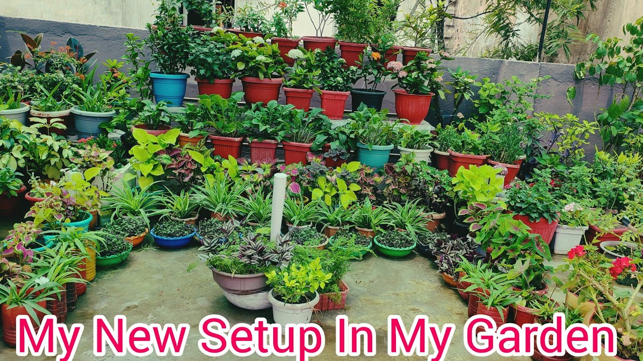 My New Setup In 🥰 My Garden/Beautiful Terrace Garden l Rooftop terrace ...