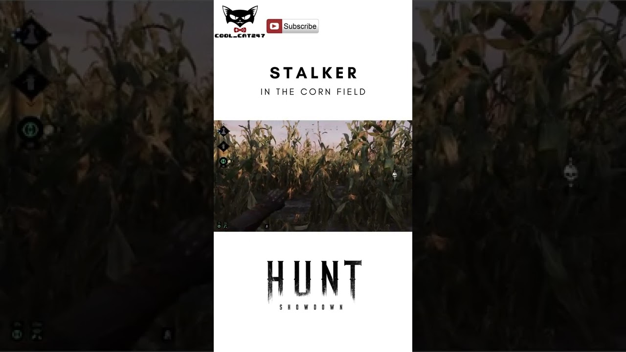 Hunt Showdown: Stalker in the corn field - YouTube